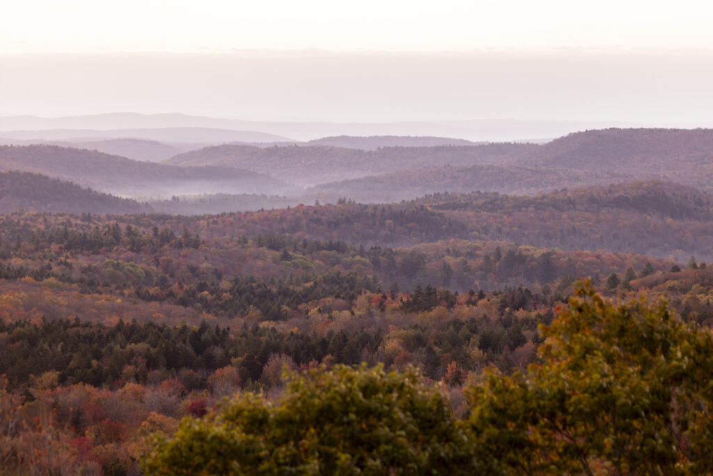 About 802 Credit Union | Vermont Community Credit Union